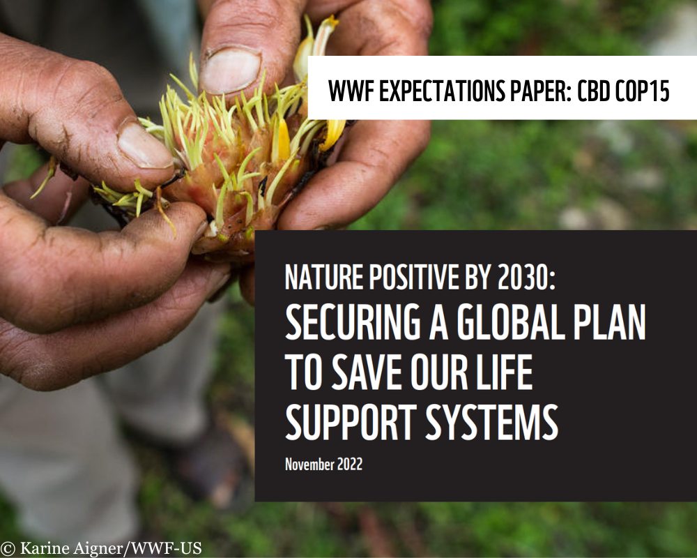 COP 15 - A once-in-a-decade chance to secure a nature-positive world